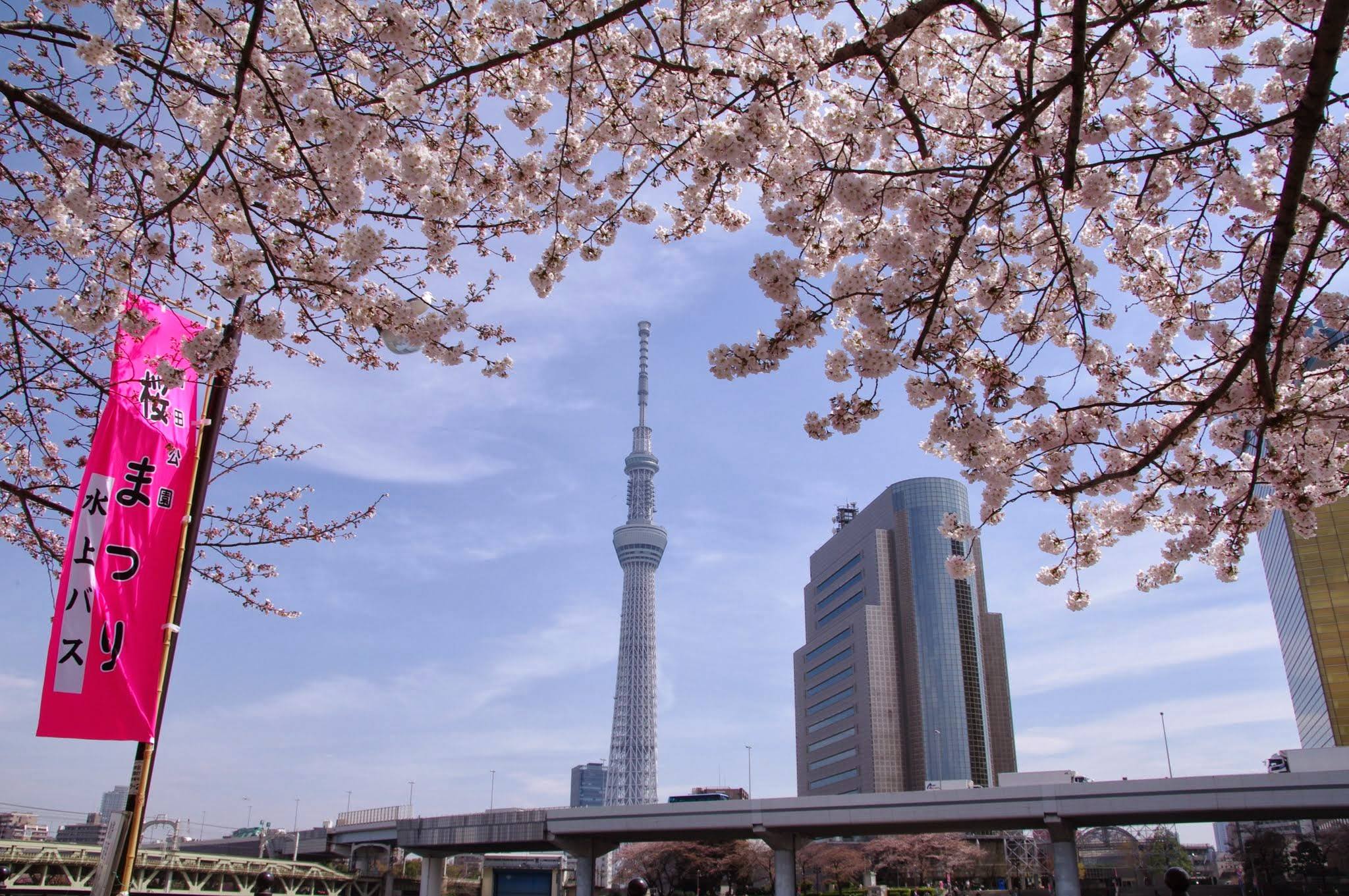 Tokyo Skytree — DozoDomoDozoDomo